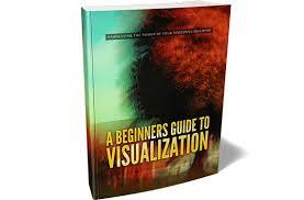 A Beginners Guide to Visualization