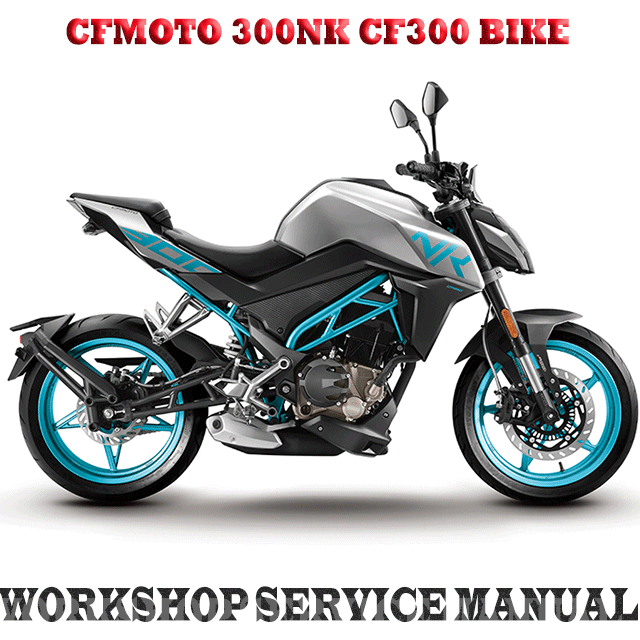 CFMOTO 300NK CF MOTO CF300 BIKE SERVICE REPAIR MANUAL (INSTANT DOWNLOAD)