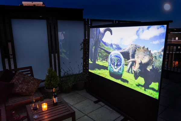 VisionX™ Projector