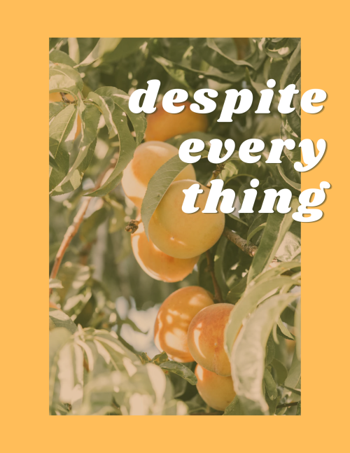 despite everything