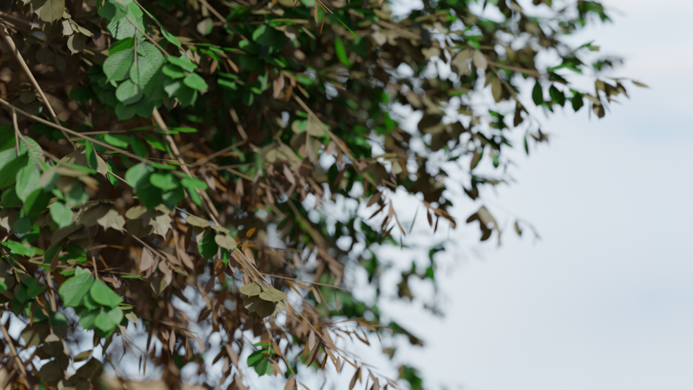 Tree Leaf Variation Shader for Blender