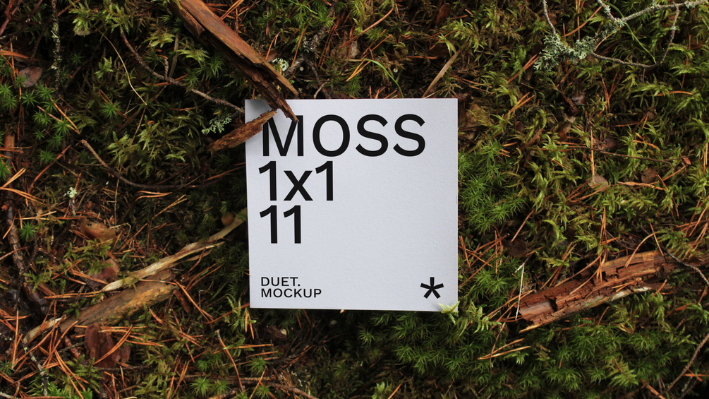 Moss Set / 6 mockups