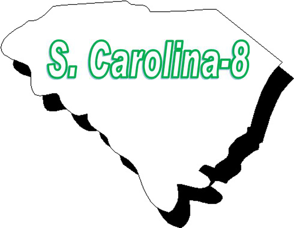 #8 South Carolina: worksheet and answer key