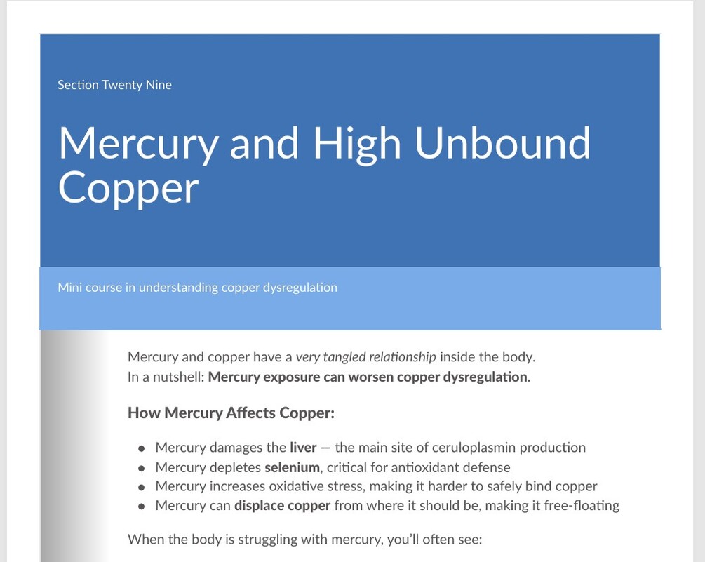 Understanding Copper Dysregulation - Mini Course - Balance your health ...
