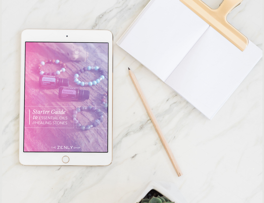 The Zenly Shop - Getting Started Guide