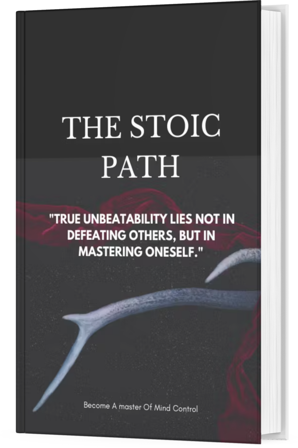 The Stoic Path