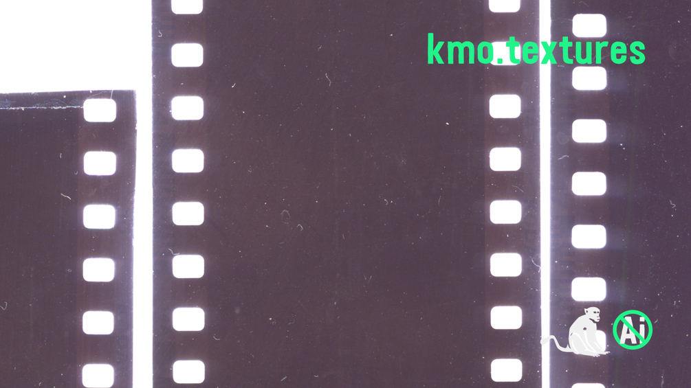 24 Film Negative Dust 35mm
