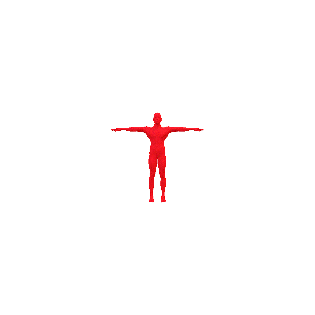 MR RED STATIC 3D MODEL IN T-POSE (FBX FORMAT/RIGGED WITH 31 BONES)
