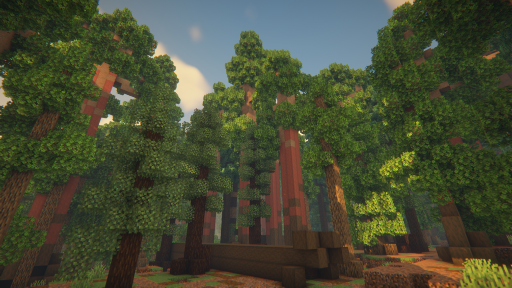 20 Giant Sequoia Schematics for Minecraft