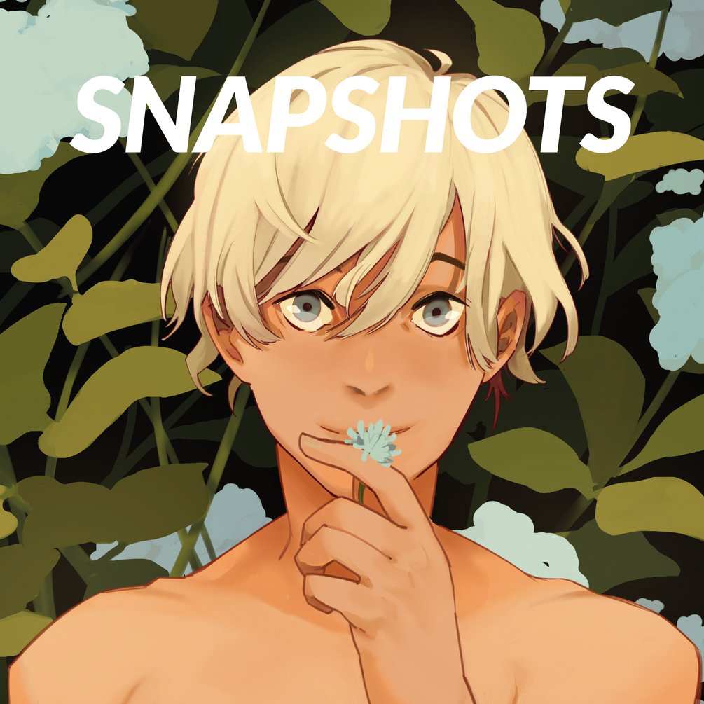 SNAPSHOTS pdf
