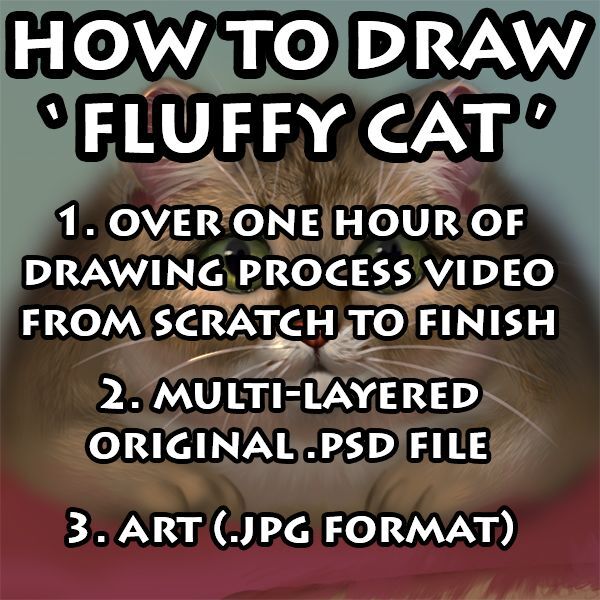 How to draw 'Fluffy Cat'