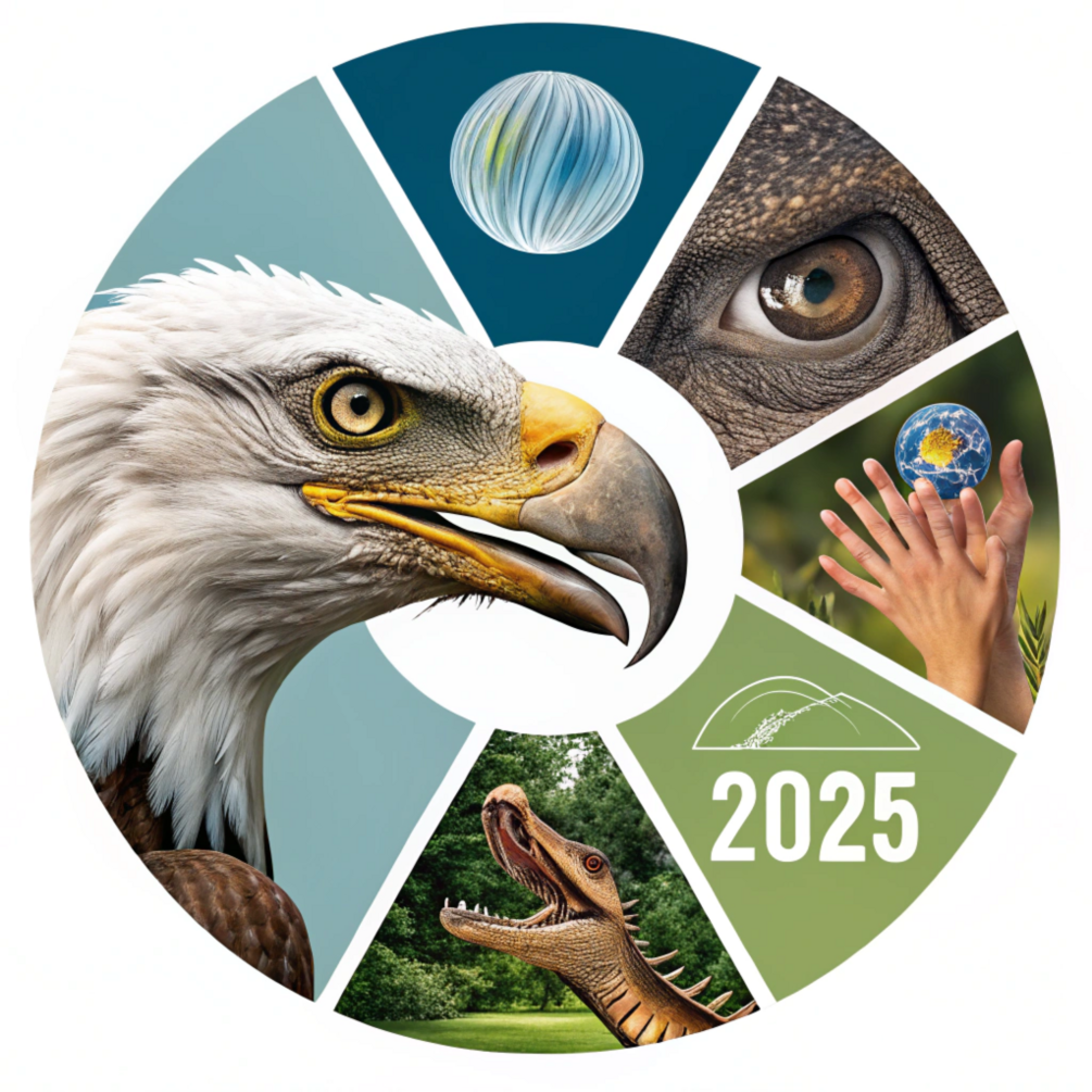 25 Graphics 2025 Collection of Graphics