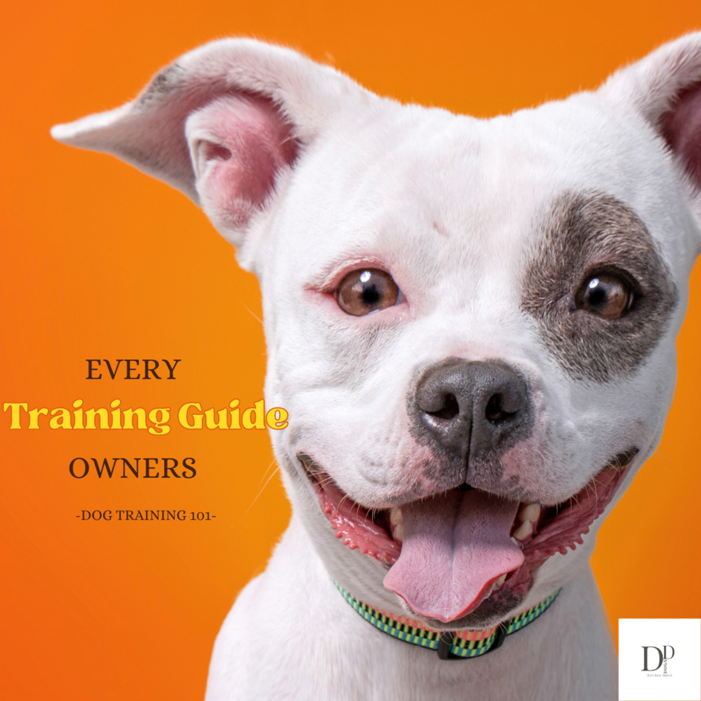 Every Owners Training Guide—Dog Training 101