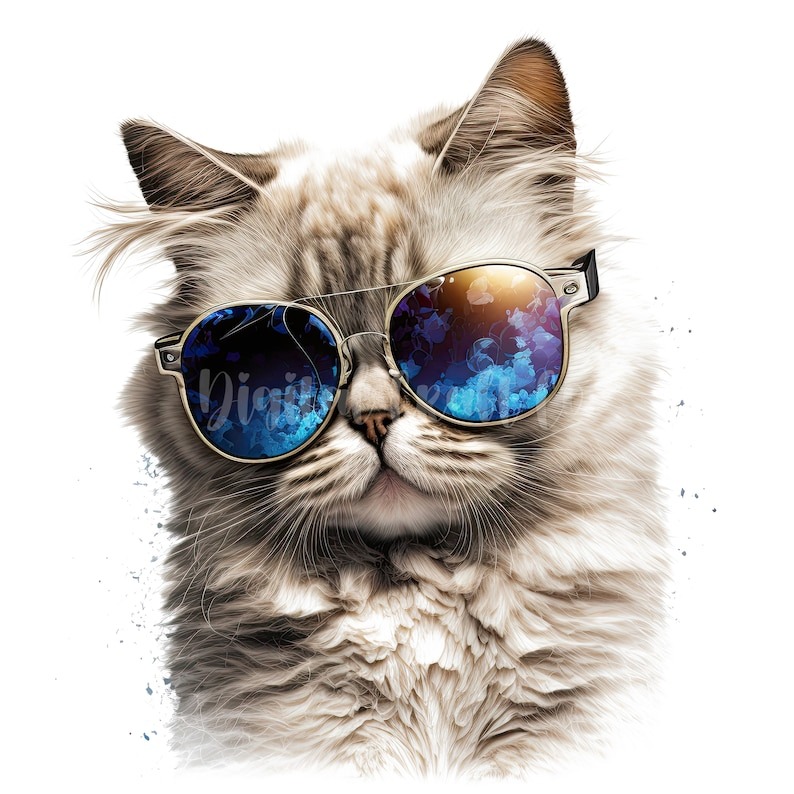 Cool Cats Clipart - Set of 10 High-Quality JPGs - Digital Download for ...