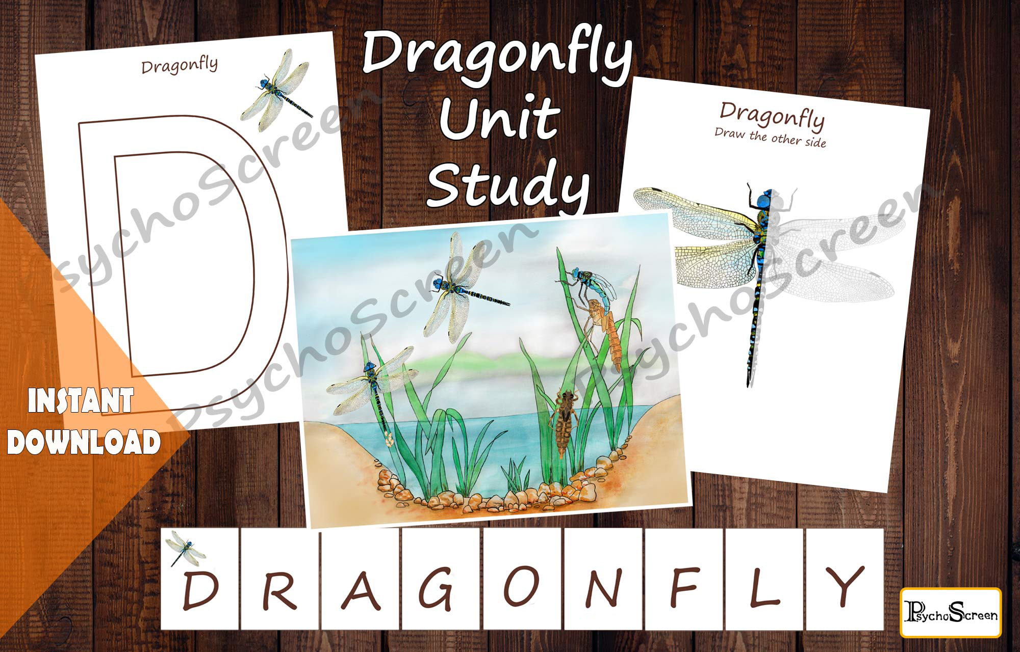 DRAGONFLY Unit Study: MEGA Printable dragonflies set, anatomy, life ...