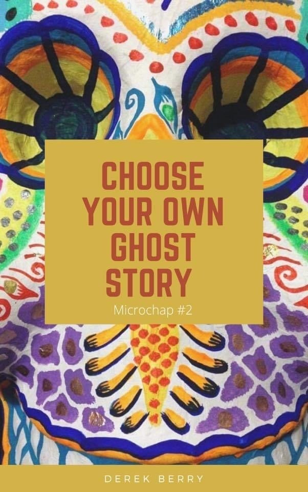 CHOOSE YOUR OWN GHOST STORY: Zine Series #2