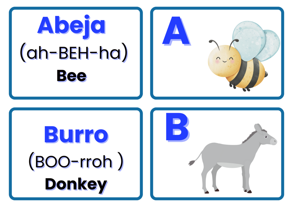 Spanish phonetics-English Animal Alphabet Flashcards- A to Z
