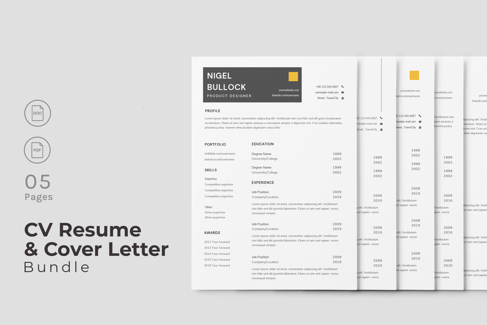 Neat CV Resume Design