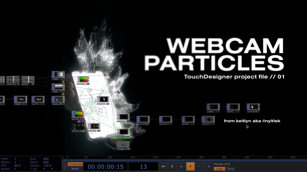 TouchDesigner project file: webcam particles