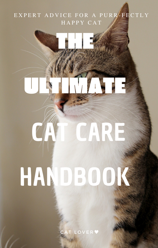 THE ULTIMATE CAT CARE HAND BOOK