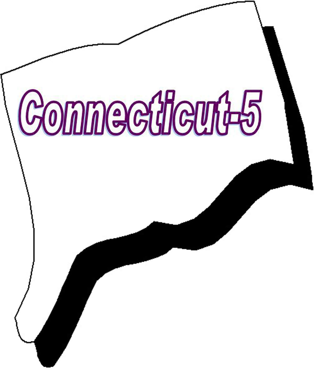 #5 Connecticut: worksheet & answer key