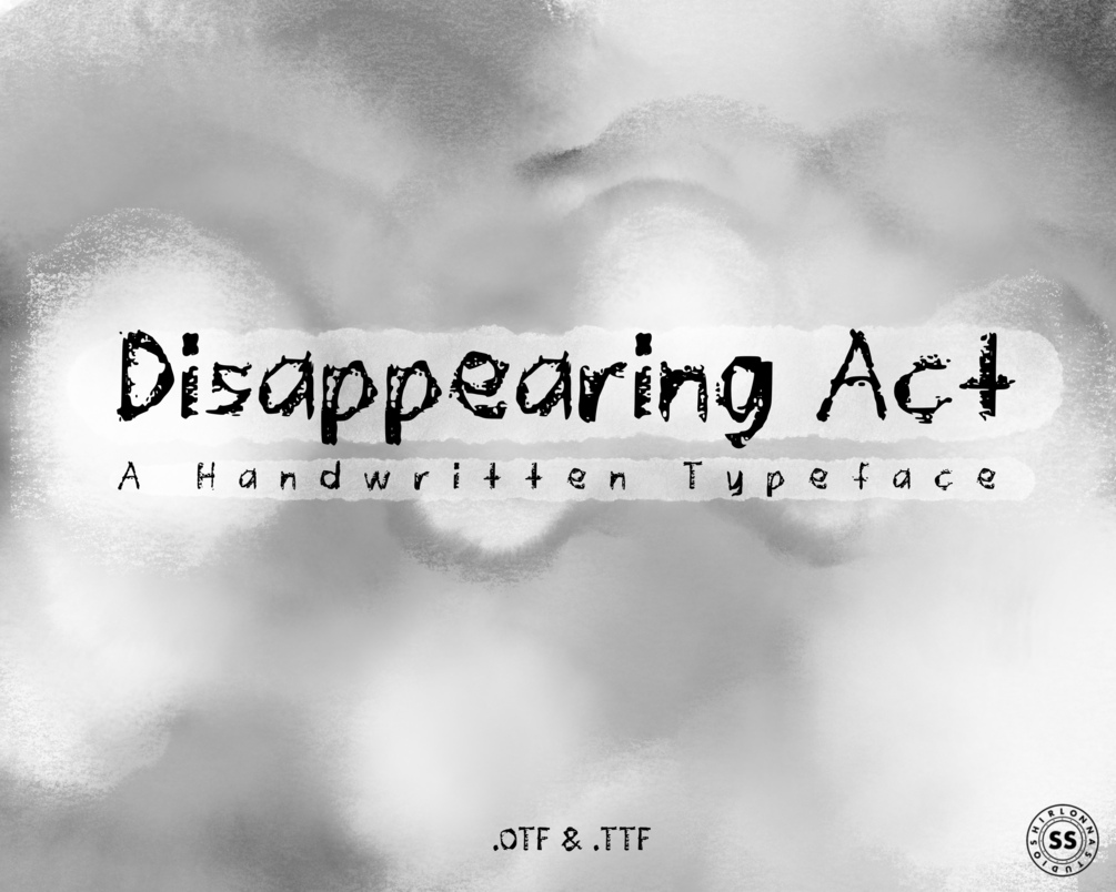 Disappearing Act Typeface | .OTF & .TTF Handwritten Font | Procreate ...