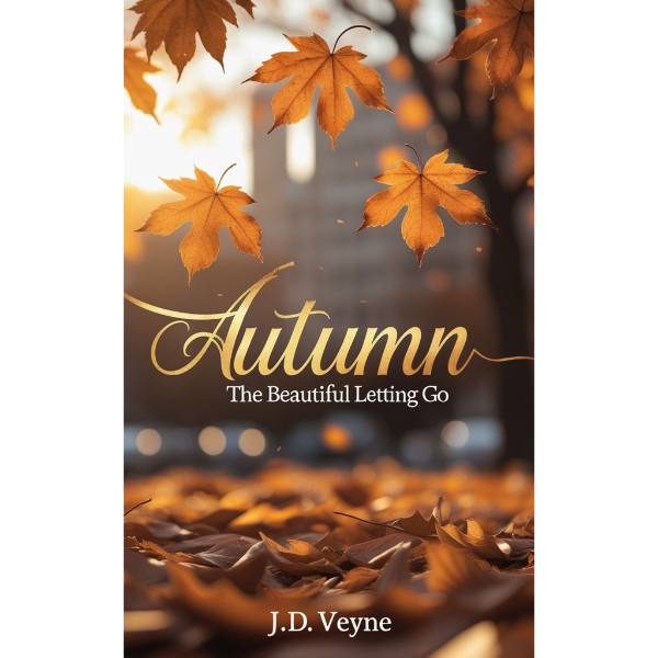 The Seasonal Reflections Bundle - 4 Books That Follow the Inner Seasons ...