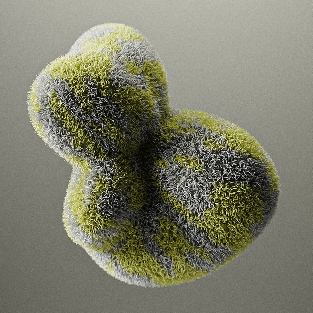 Fuzz 01 - Cinema 4D / Redshift