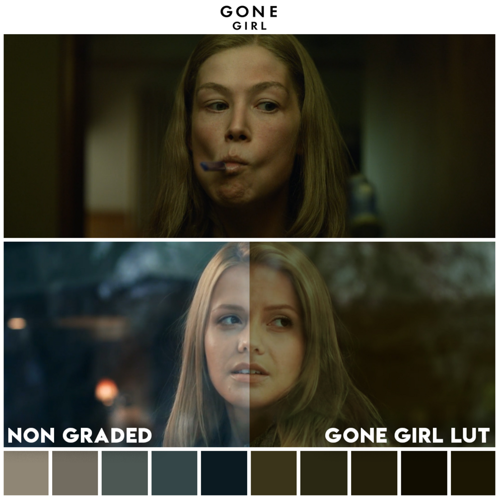 Gone Girl LUT / Lightroom Profile