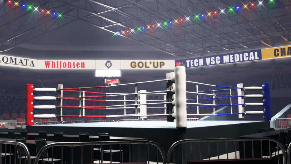 Combat Boxing Arena