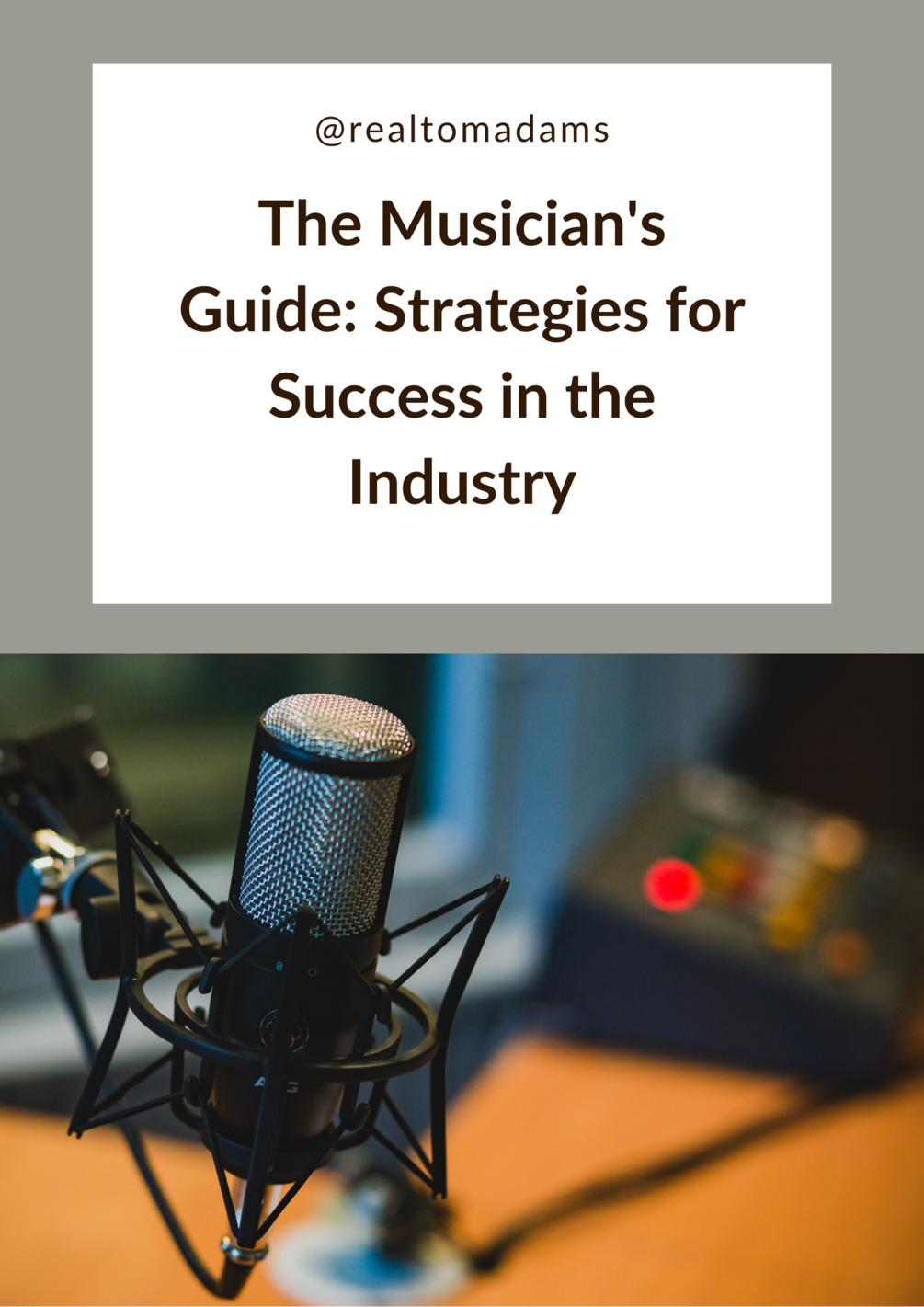 The Musician's Guide Strategies for Success in the Industry (PDF)