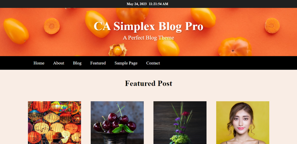CA Simplex Blog Premuim WordPress Theme