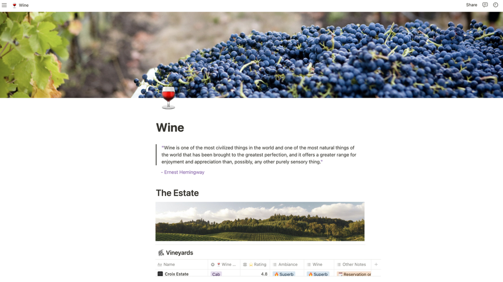 Notion Wine Tracker