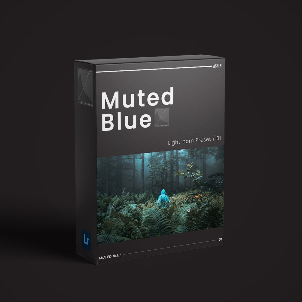 Muted Blue lightroom preset