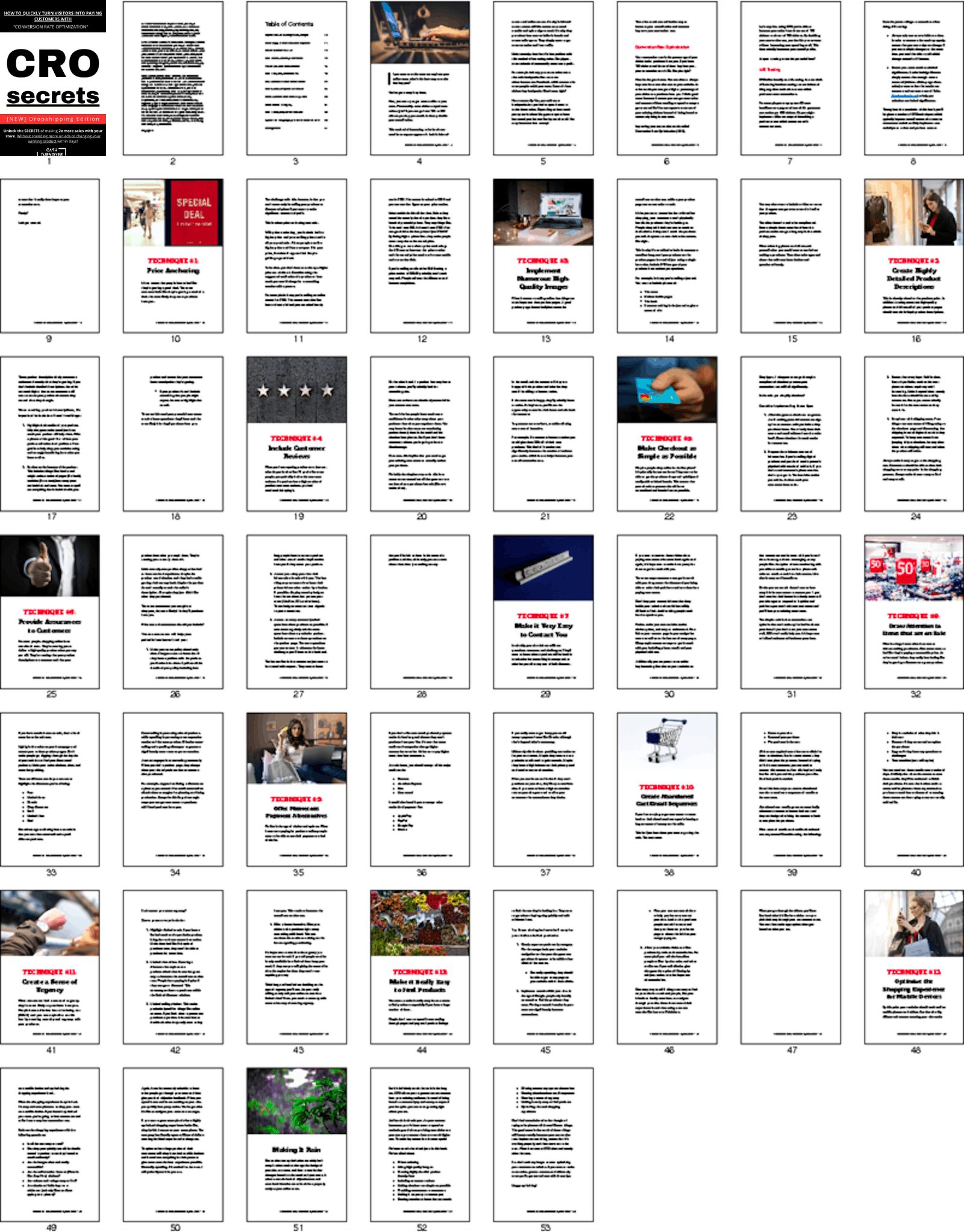CRO SECRETS Bundle: DROPSHIPPING EDITION