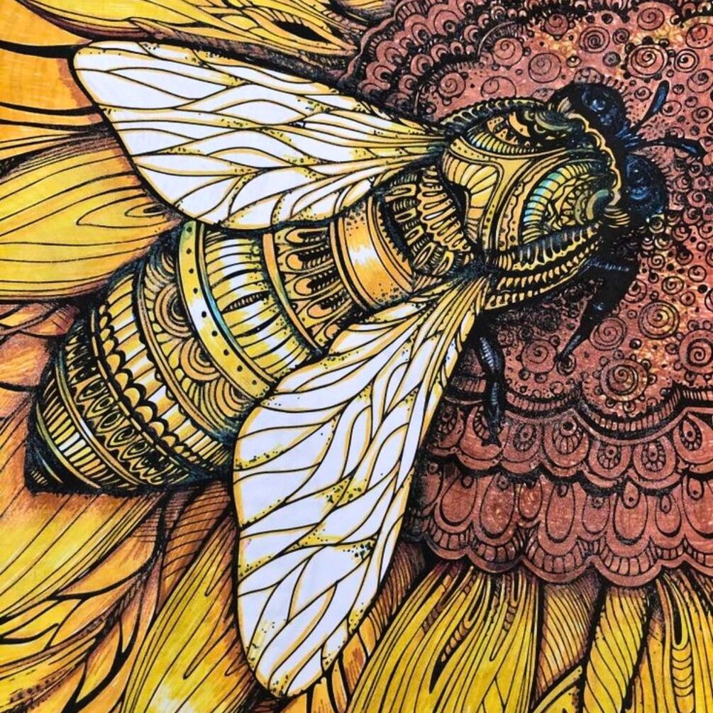 Insect Mandala Coloring Pages