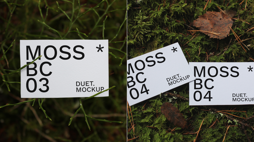 Moss Set / 6 mockups