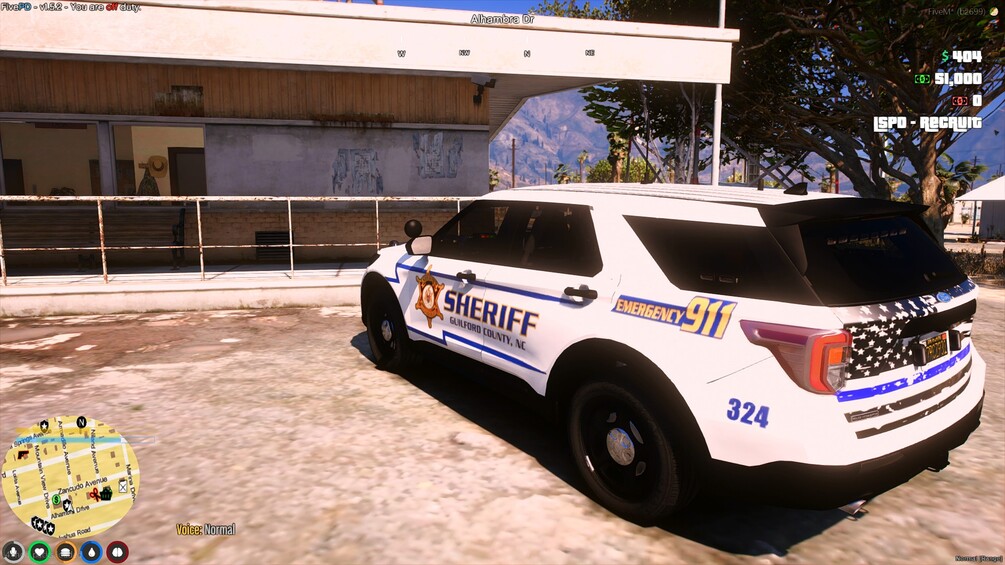 2020 FPIU GUILFORD COUNTY SHERIFF TEXTURE