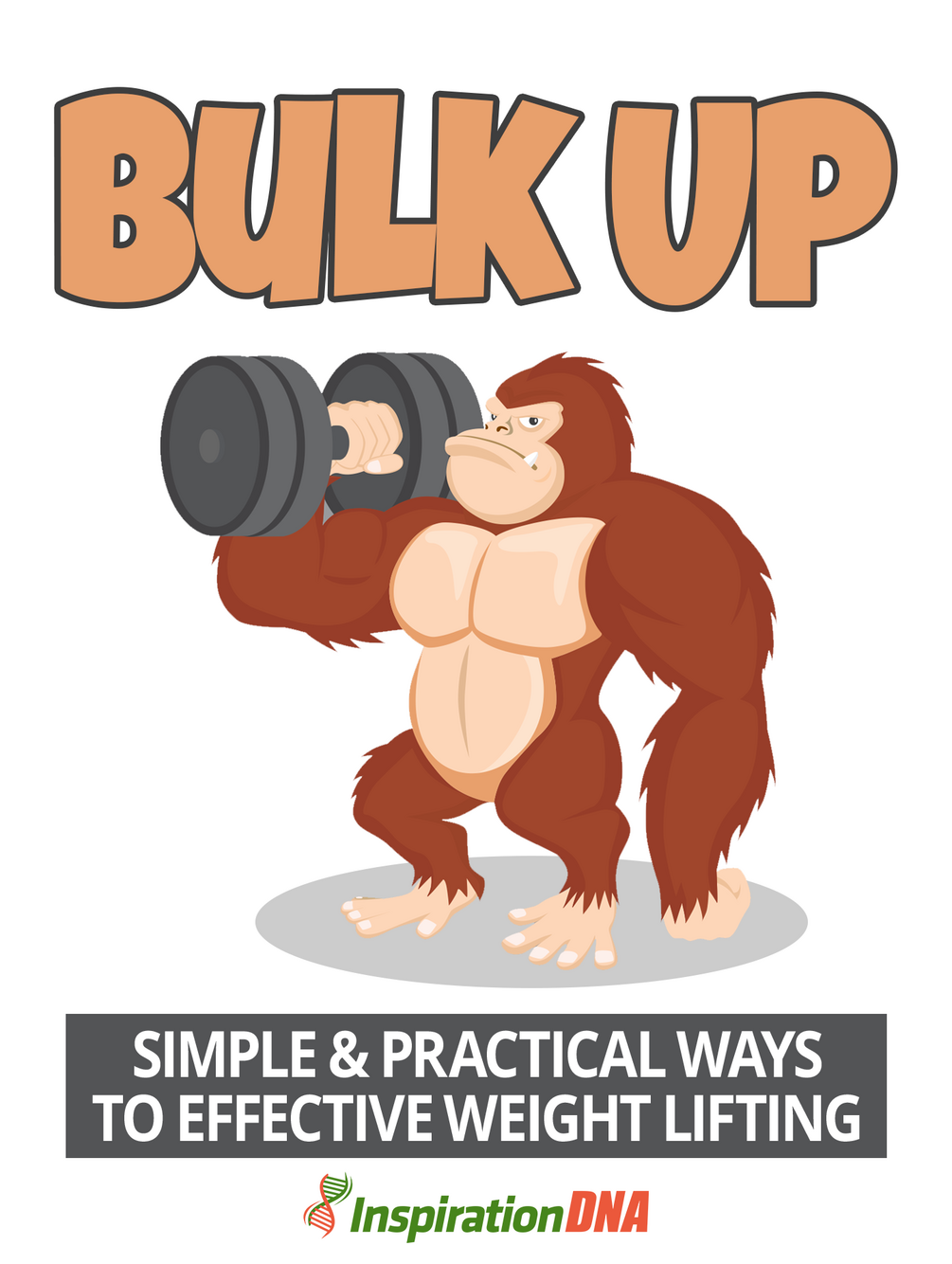 Bulk up