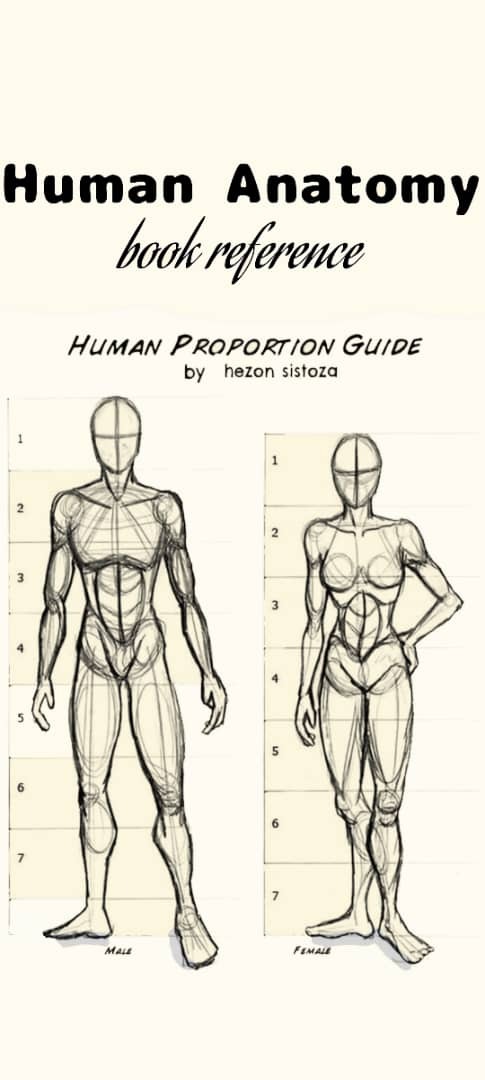 Human Anatomy Books Reference