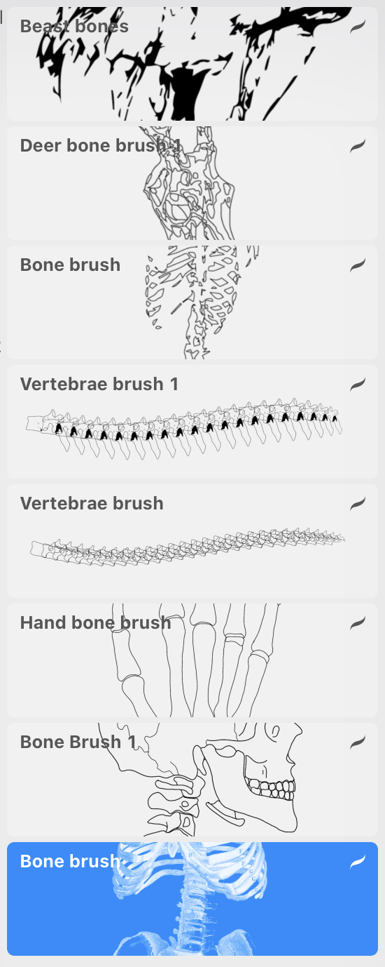 bone brush
