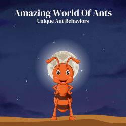 The Amazing World Of Ants: Unique Ant Behaviors