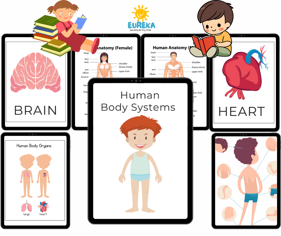 My Amazing Body! A Fun-tastic Exploration with Games and Activities ...