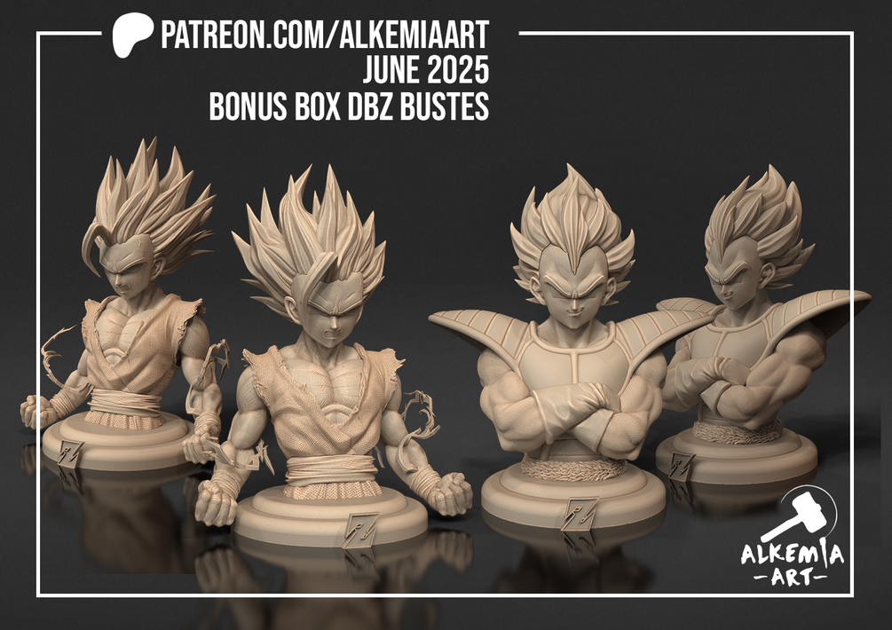 JUIN/JUNE BONUS BOX - DRAGON BALL BUSTES