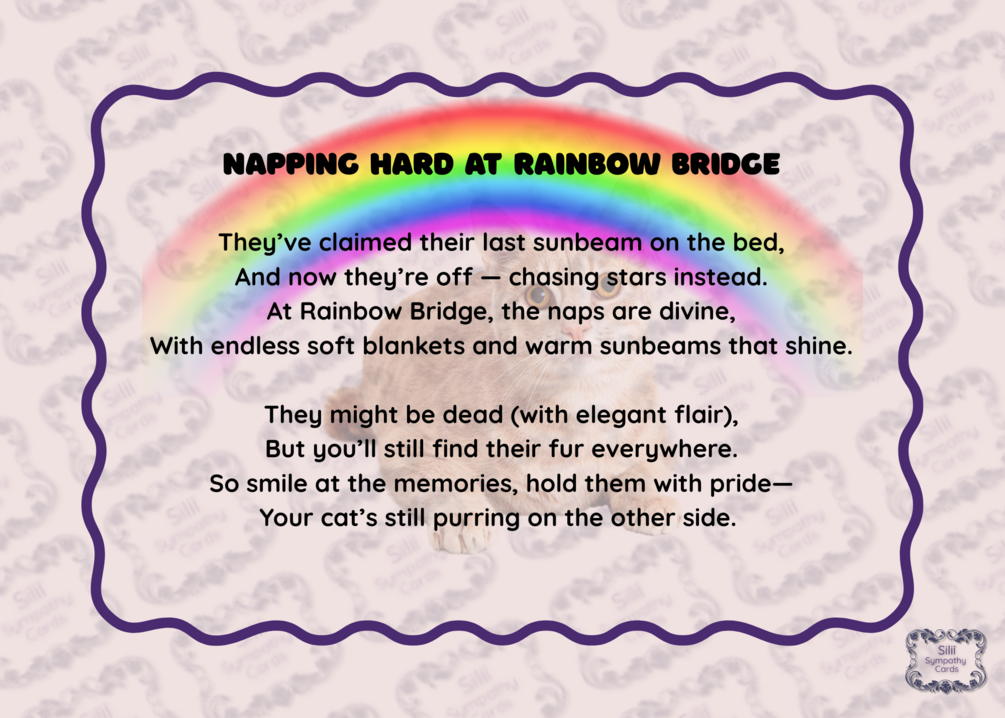 Napping Hard at Rainbow Bridge (Cat)