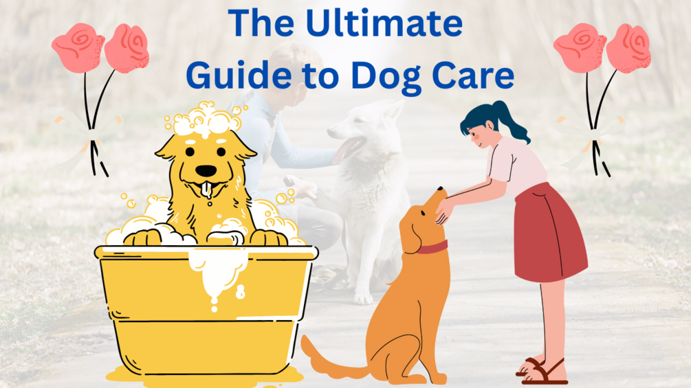 The Ultimate Guide to Dog Care