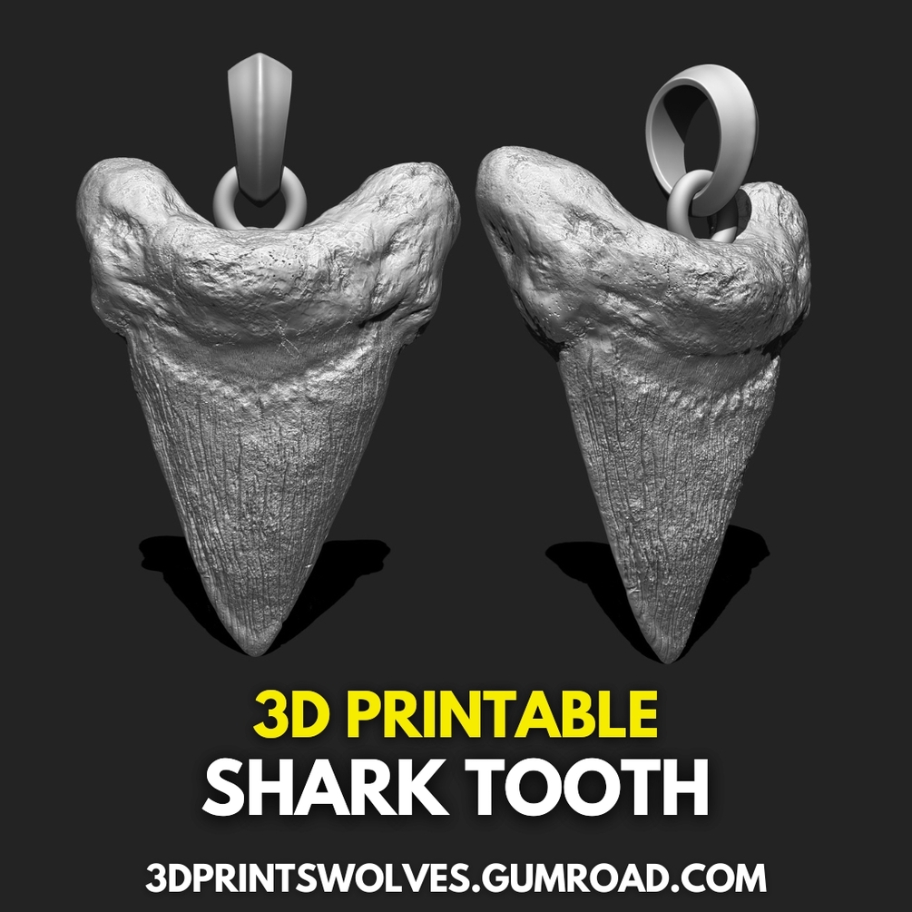 Shark Tooth Fossil - 3D Print Pendant 3D print model