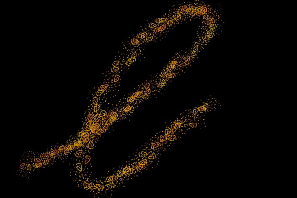 Procreate Brush - Hut