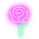 Rose.