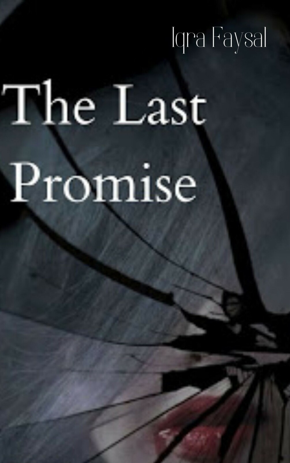 The Last Promise